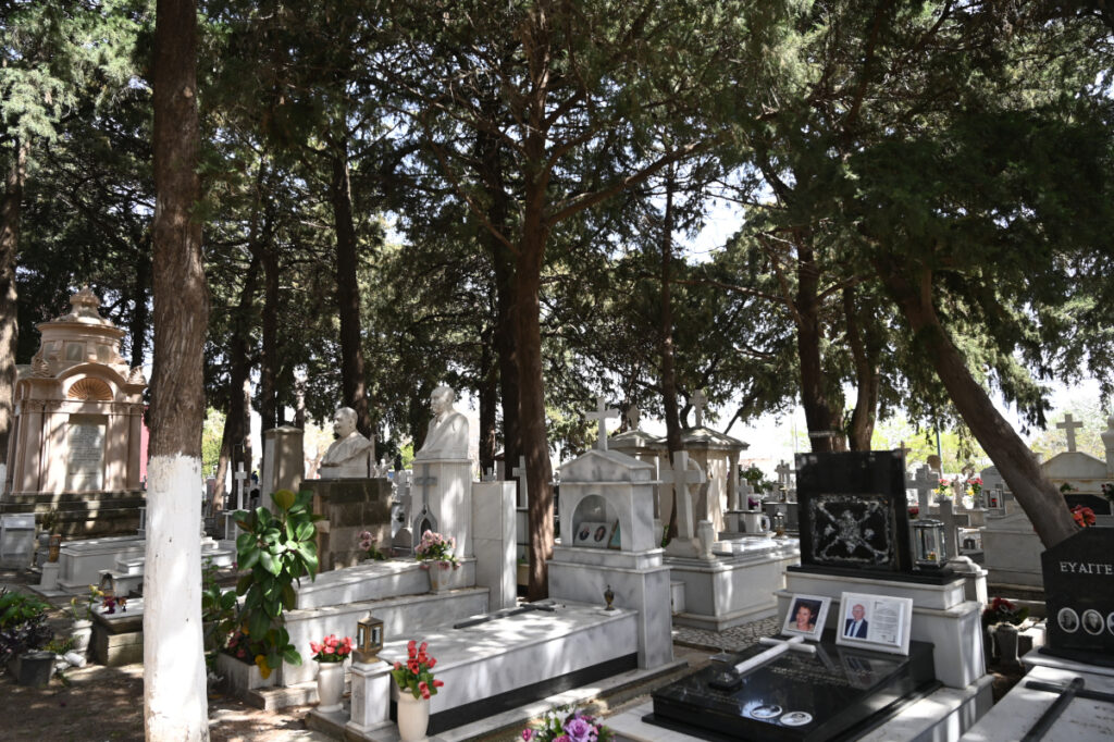 Une visite printanière à Rhodes, Grèce - Histoires de Forêts - Annik ...