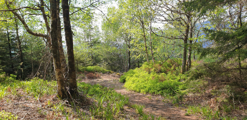 Découverte archéologique et écologique entre Narion et le jardin des ...