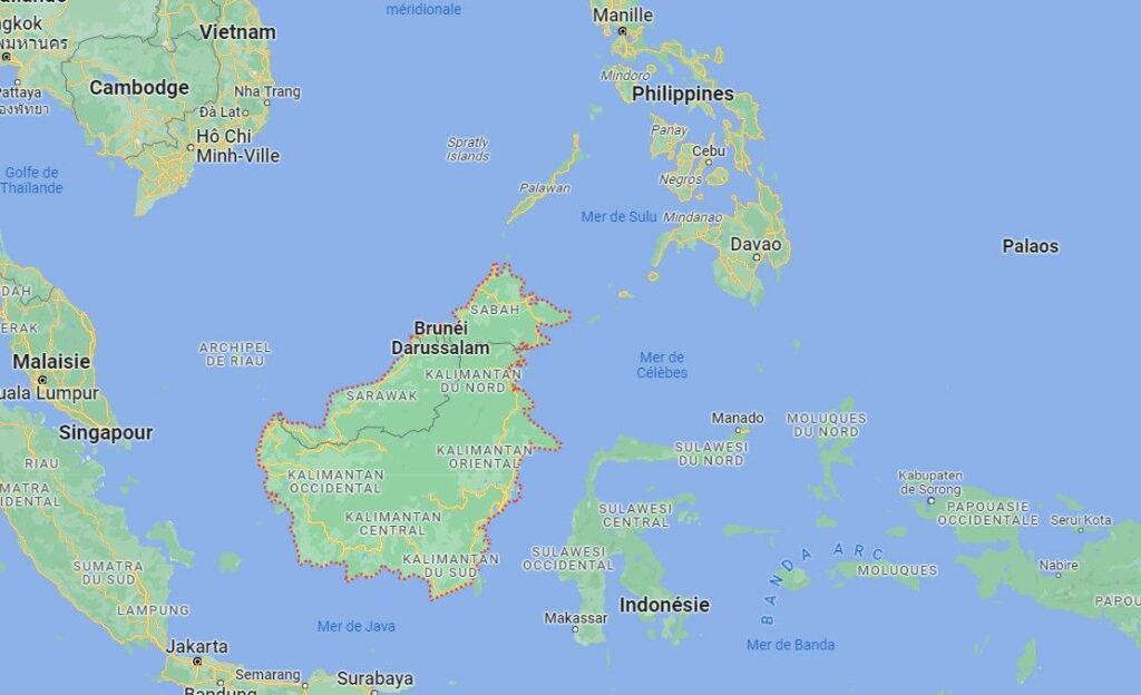 Les forêts tropicales de Bornéo, Indonésie - Histoires de Forêts ...