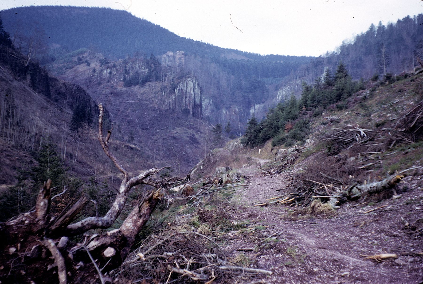 Un volcan dans les Vosges: le Nideck - Histoires de Forêts - Annik Schnitzler