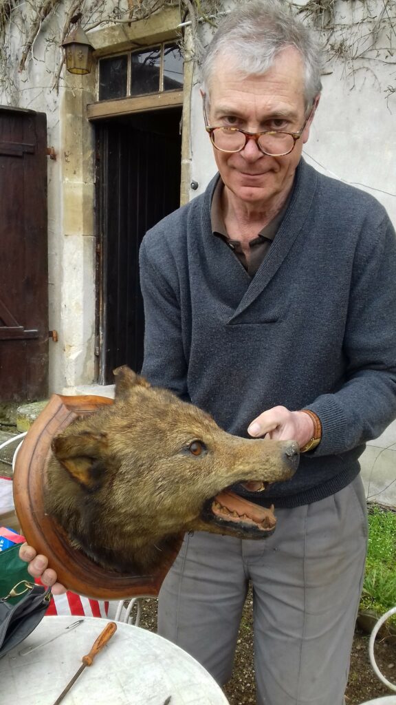 Reconstitution de l’histoire des loups français par la génétique ...